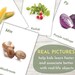 VEGETABLES (60 Cards) | Real Picture | Editable Flash Card | Alphabet ...