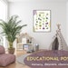 VEGETABLES Poster Educational Digital Wall Art Real Picture Preschool ...