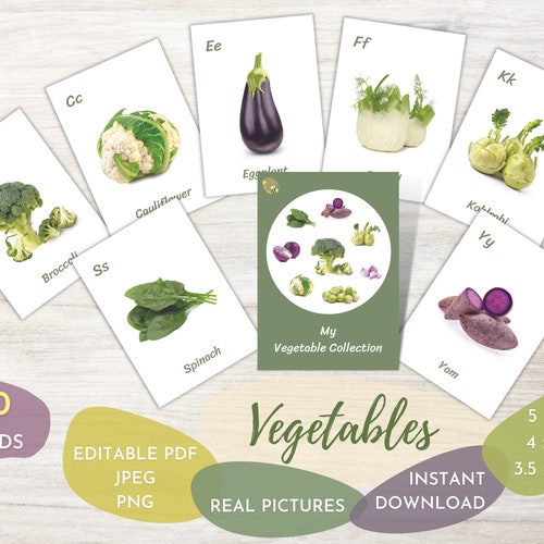 VEGETABLES 60 Cards Real Picture Editable Flash Card - Etsy