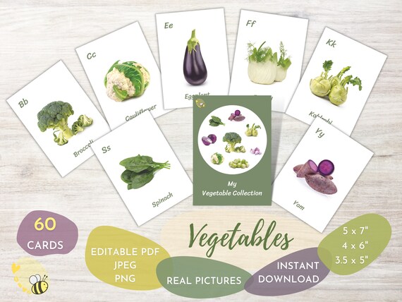 VEGETABLES 60 Cards Real Picture Editable Flash Card - Etsy