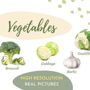 VEGETABLES Poster | Educational Digital Wall Art | Real Picture ...