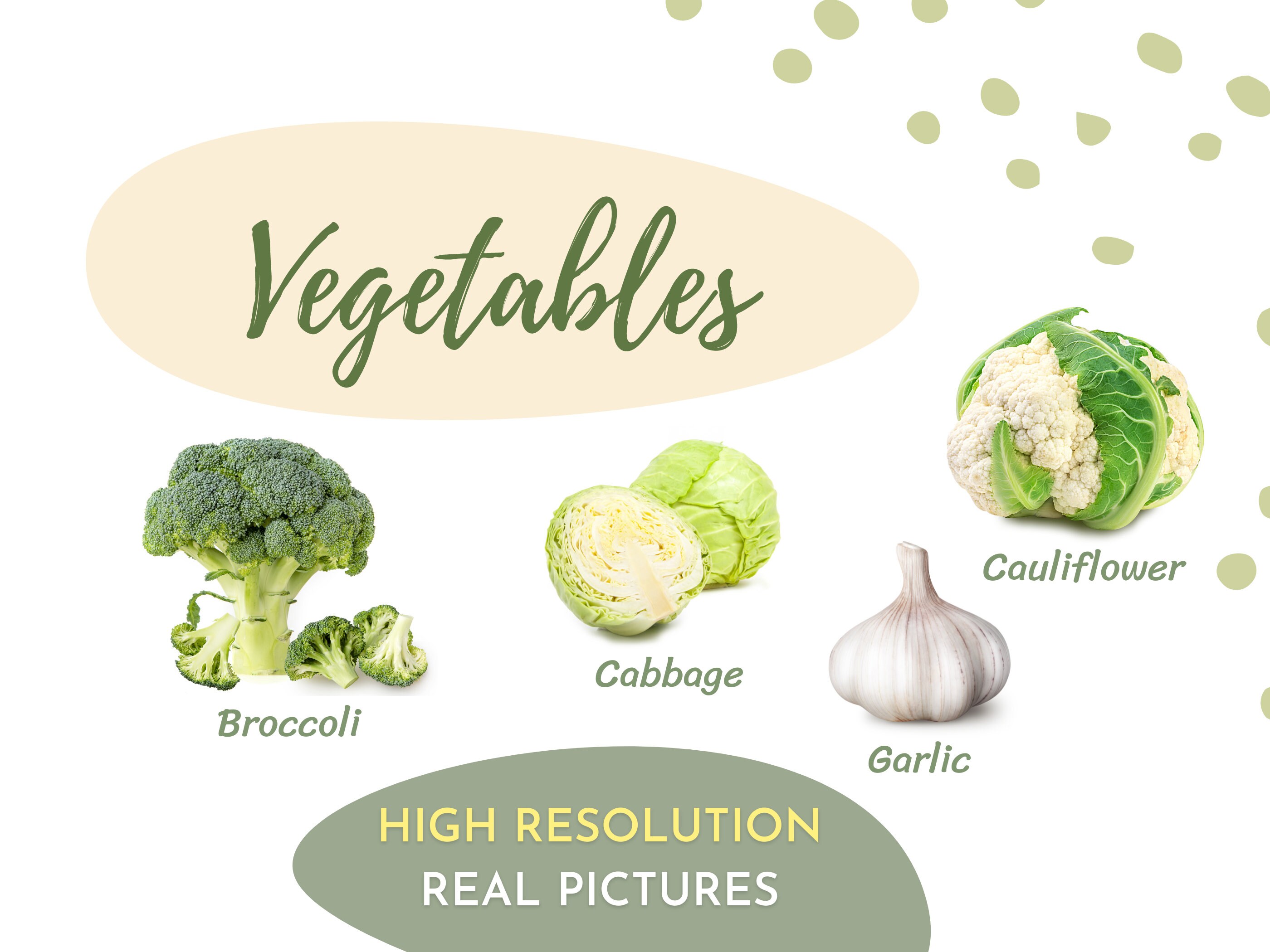 VEGETABLES Poster | Educational Digital Wall Art | Real Picture ...