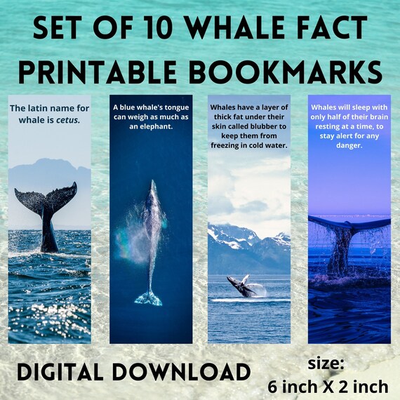 Whale Fact Printable Bookmarks Whales Bookmark Ocean Animals - Etsy