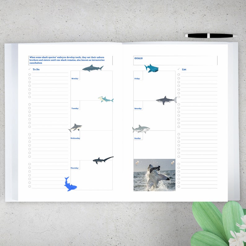 Shark Planner Gift Set / Sharks Lover / Sharks Journal / Spirit Animal ...