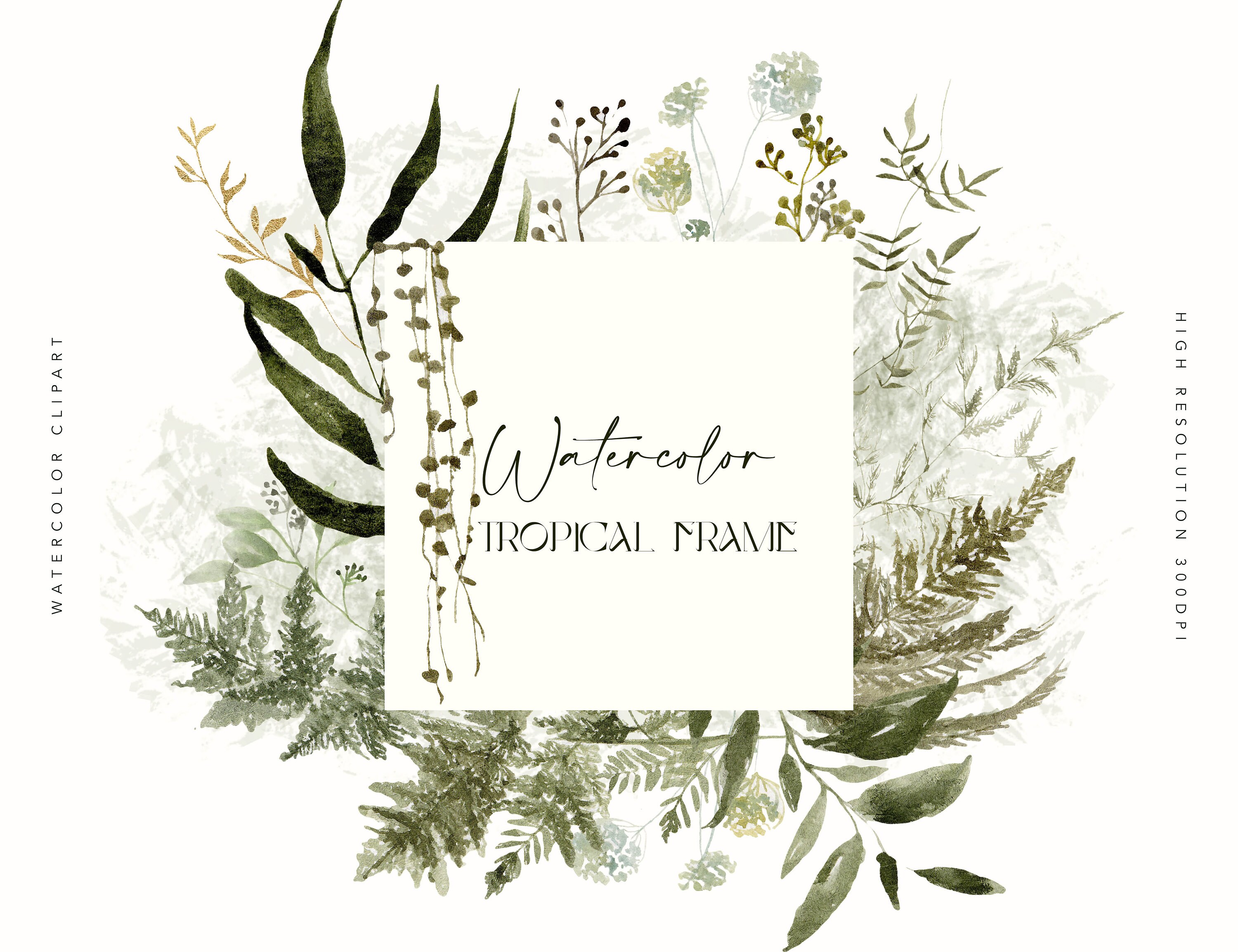 Watercolor Eucalyptus Frame, Watercolor Greenery Clipart, Eucalyptus ...