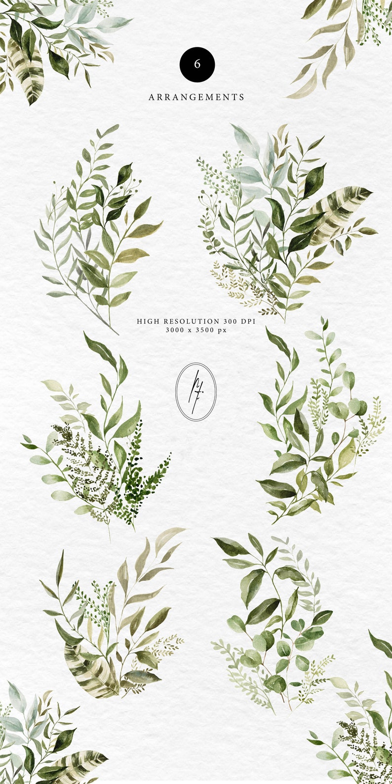 Watercolor Greenery,eucalyptus Bundle, Leaves Clipart, Foliage Clipart ...