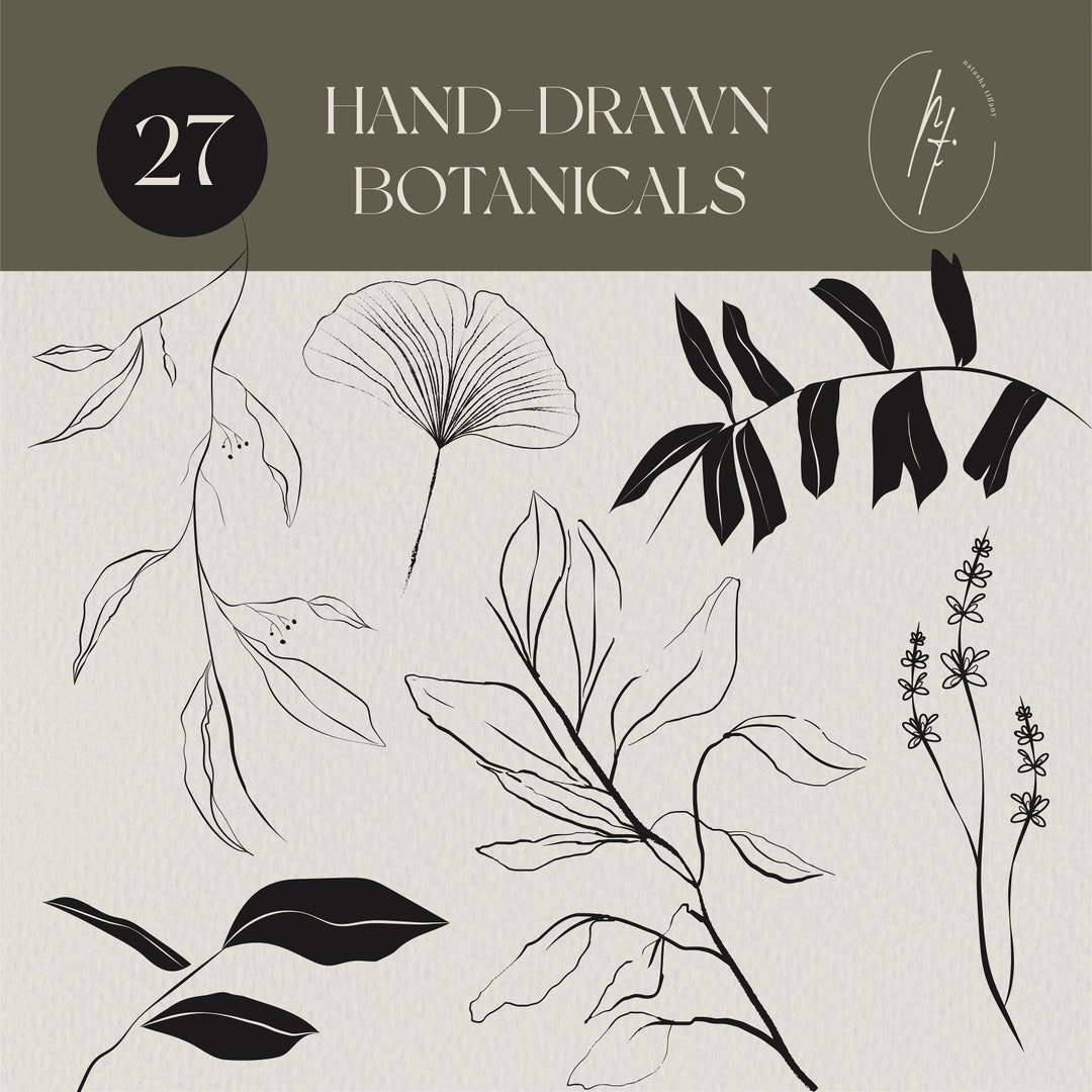 BUNDLE Set of 27 Botanical Elements SVG, Wedding Invitations SVG ...