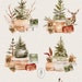 Watercolor Christmas Tree Clipart, Rustic Woodland PNG (digital ...