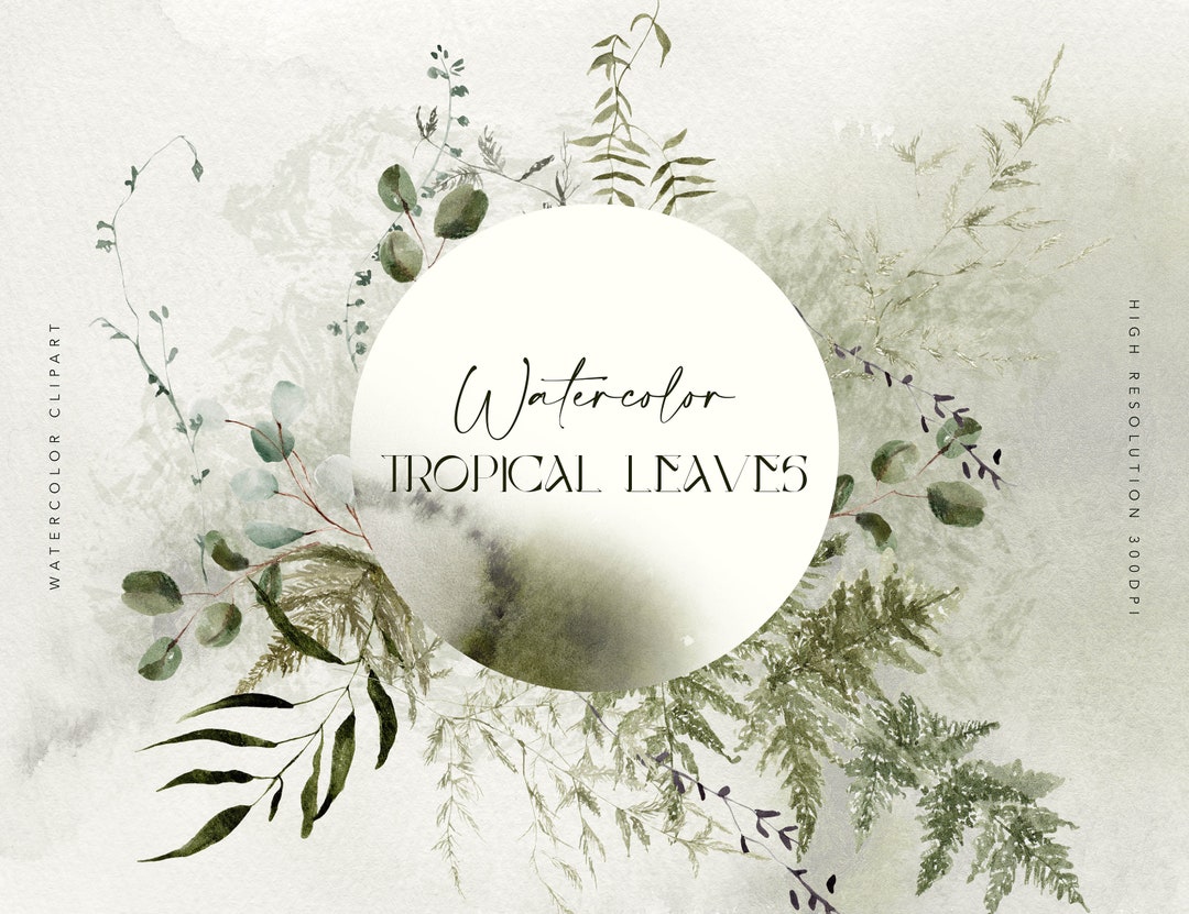 Watercolor Floral Clipart, Tropical Leaves Clipart, Eucalyptus Clipart ...