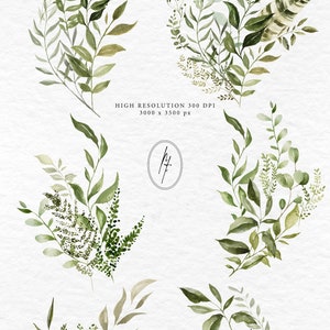 Watercolor Greenery Leaves Clipart Eucalyptus Pngtropical - Etsy