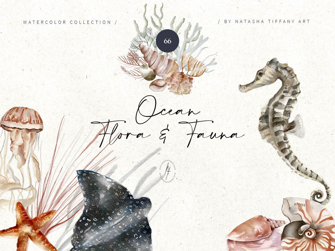 Ocean Watercolor Clipart,boho Nautical,watercolor Clipart,underwater ...