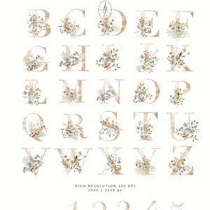 Watercolor Wildflower PNG, Watercolor Floral Clipart, Dried Flowers PNG ...