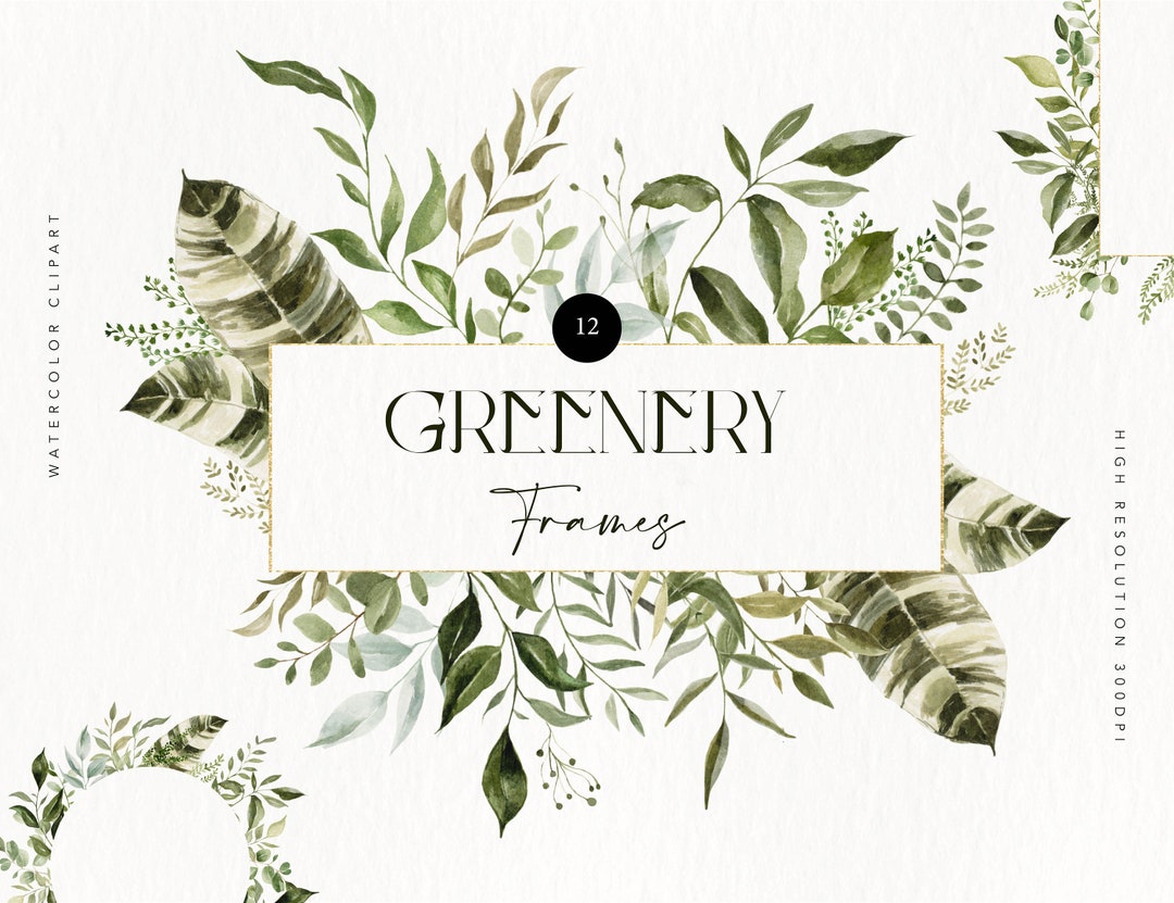 Watercolor Greenery, Leaves Clipart, Eucalyptus Png,tropical Leaves ...