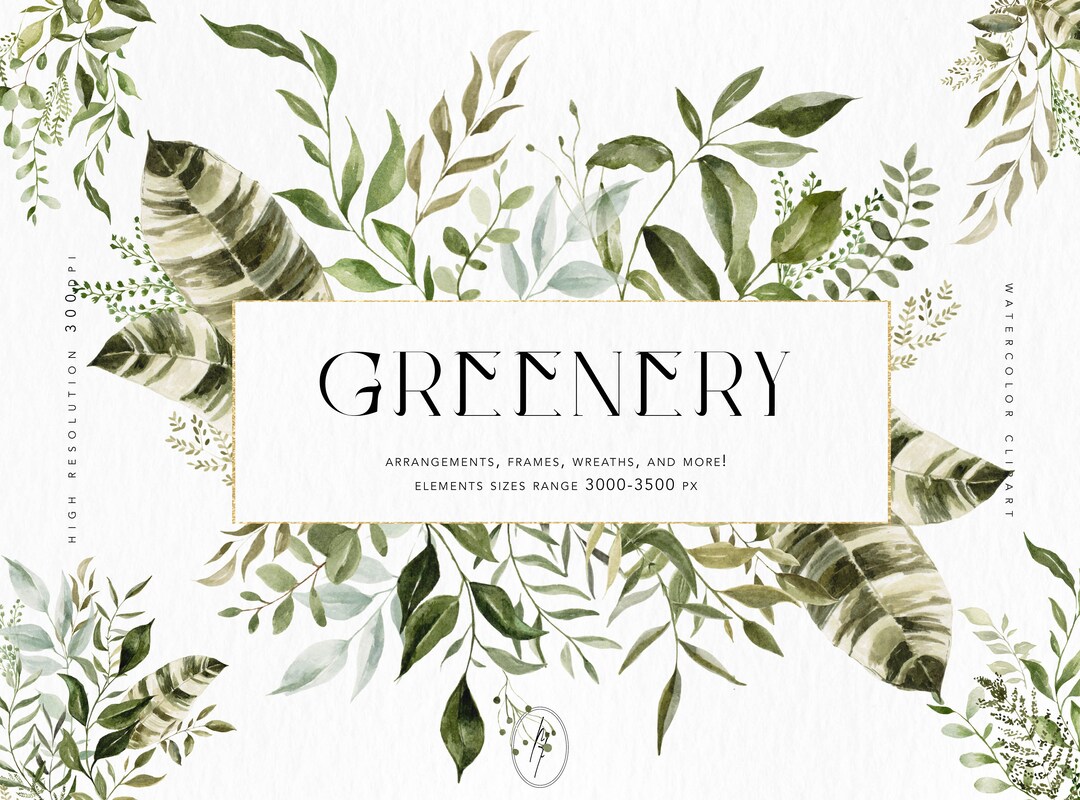 Watercolor Greenery, Leaves Clipart, Eucalyptus Png,tropical Leaves ...