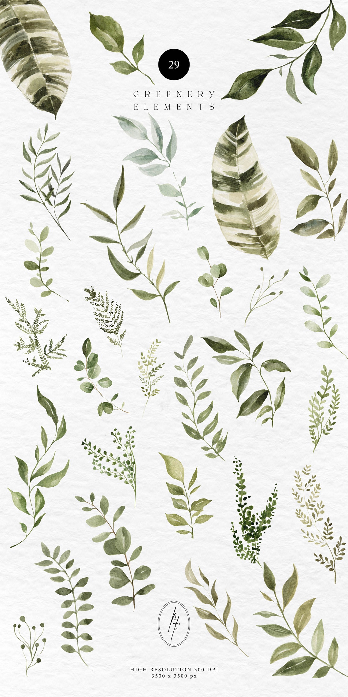 Watercolor Greenery Leaves Clipart Eucalyptus PNG Greenery | Etsy