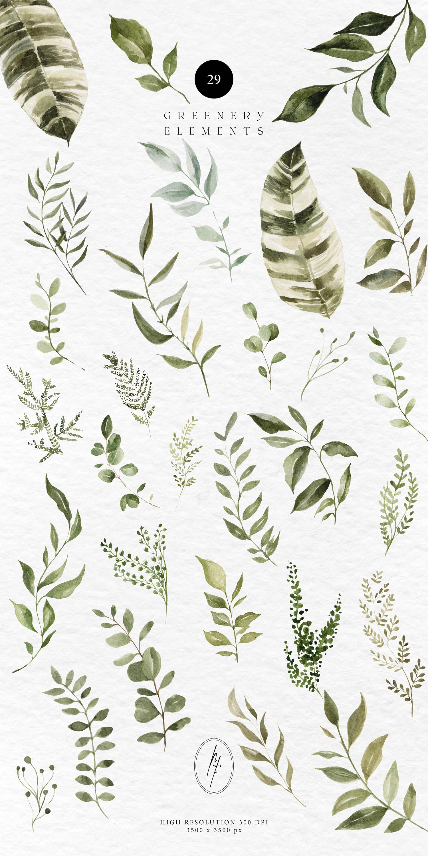 Watercolor Greenery Leaves Clipart Eucalyptus PNG Greenery | Etsy