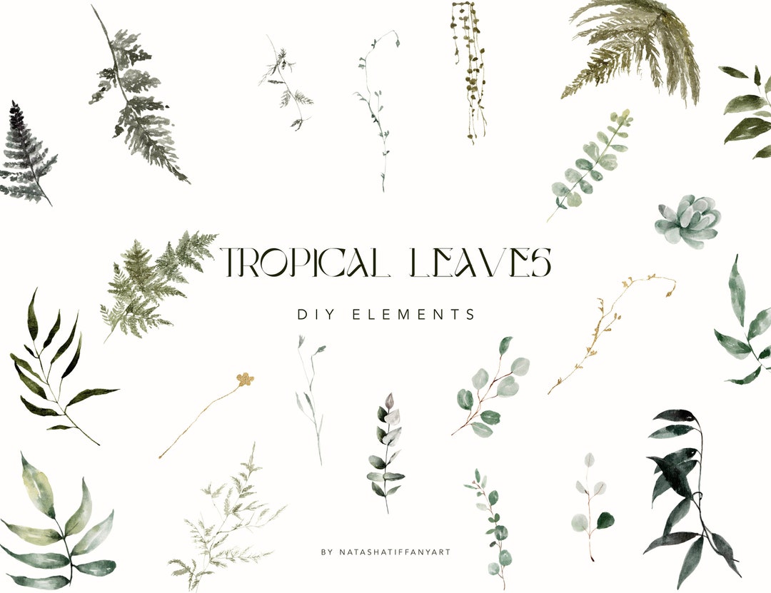 Watercolor Floral Clipart, Tropical Leaves Clipart, Eucalyptus Clipart ...
