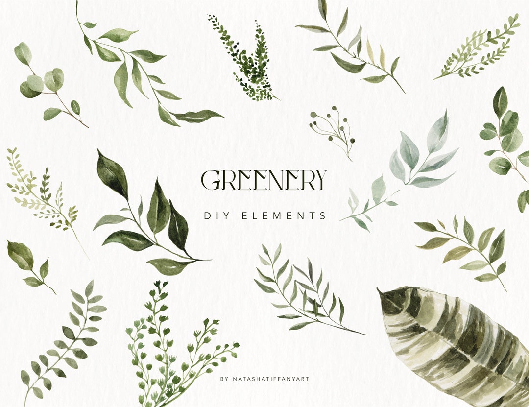 Watercolor Greenery, Leaves Clipart, Eucalyptus PNG, Greenery Elements ...