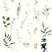 Watercolor Floral Clipart, Tropical Leaves Clipart, Eucalyptus Clipart ...