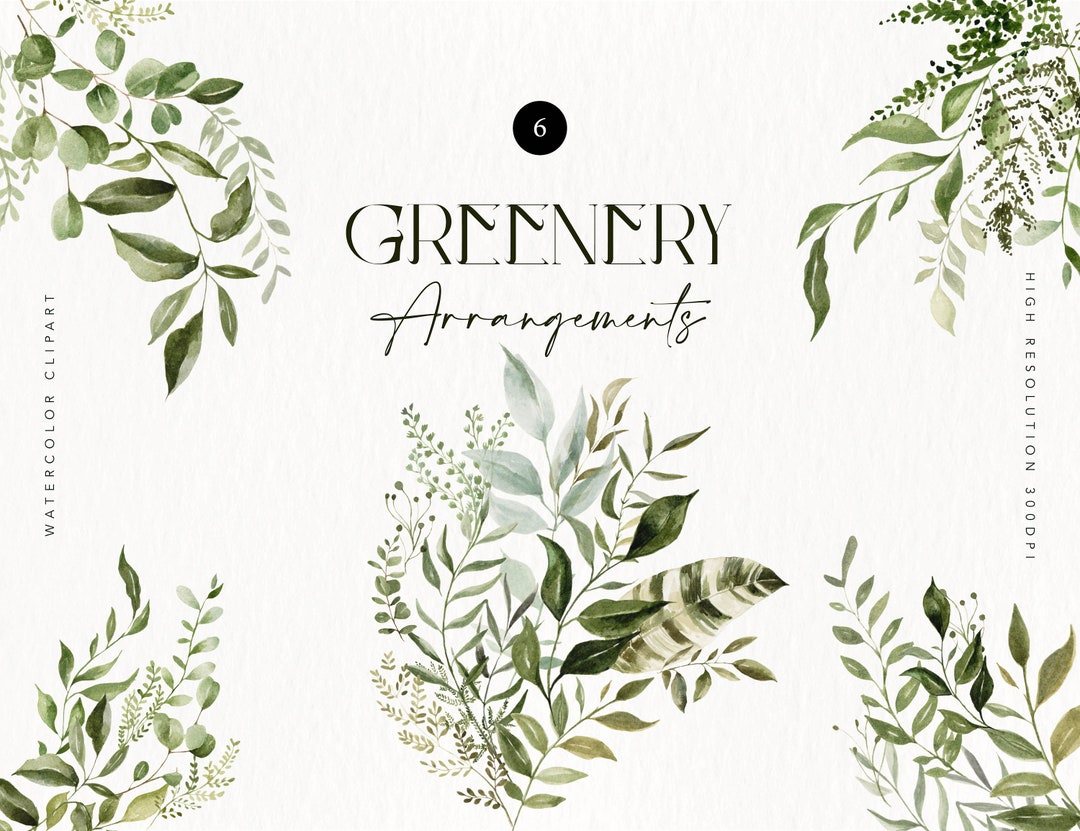 Watercolor Greenery,eucalyptus Bundle, Leaves Clipart, Foliage Clipart ...