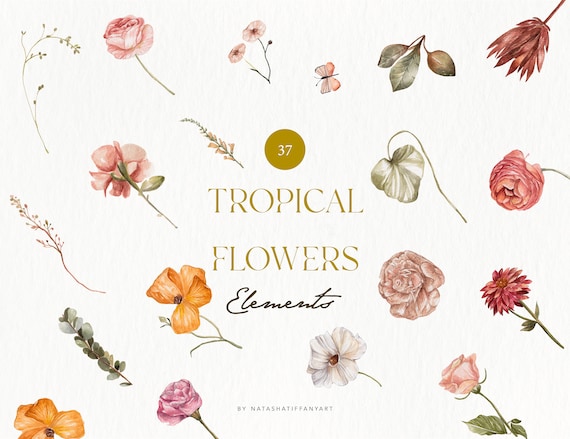 Floral DIY Elements Clipart Watercolor Floral Clipart Spring - Etsy