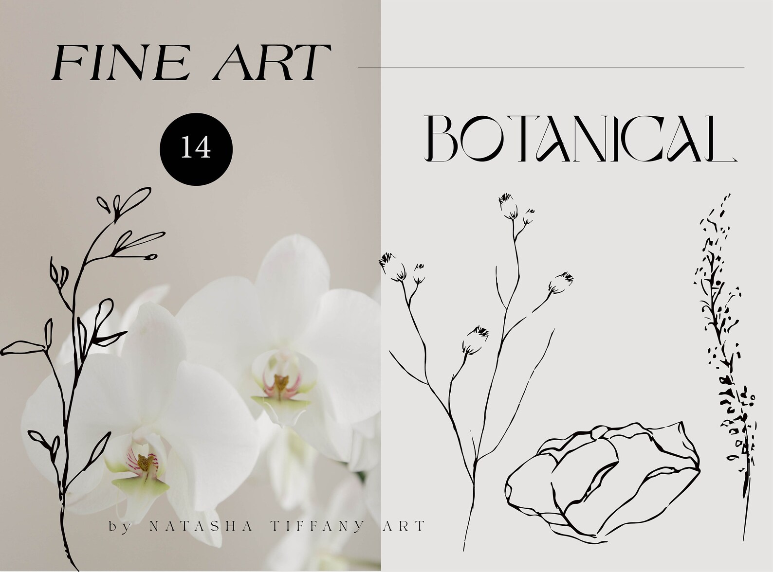 Hand Drawn Fine Art Botanical Fine Art Botanical Clip Art - Etsy