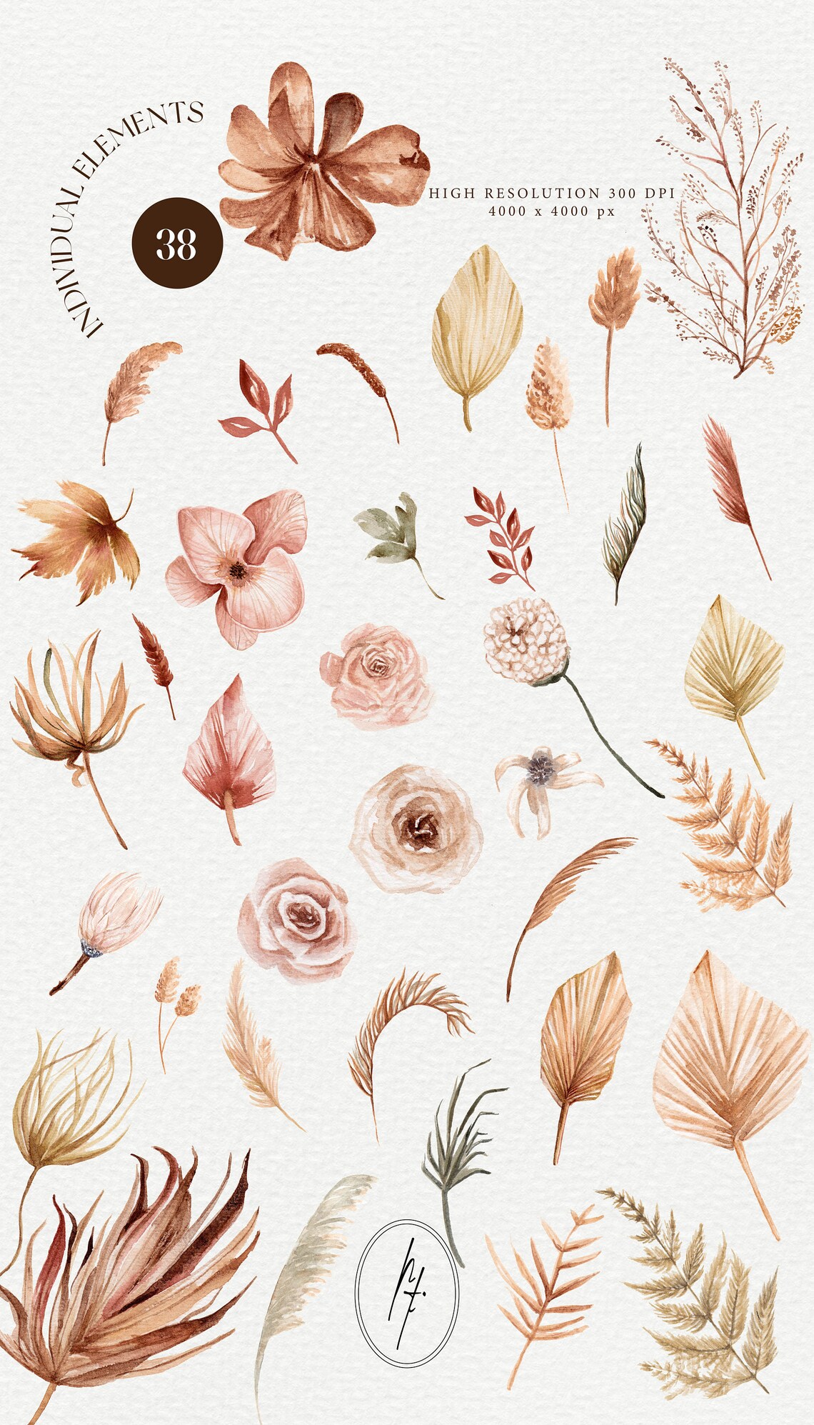 Boho Floral Clipart Boho Floral Pampas Dried Flowers - Etsy