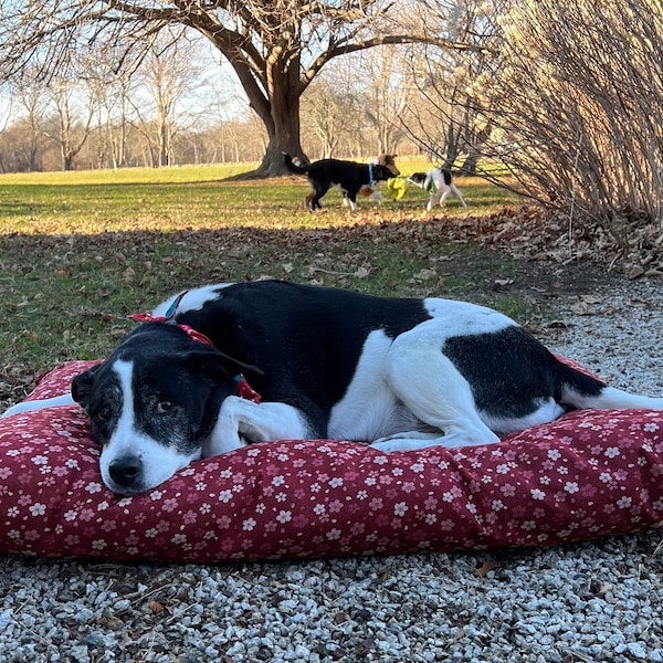 Handmade Dog Bed - Etsy
