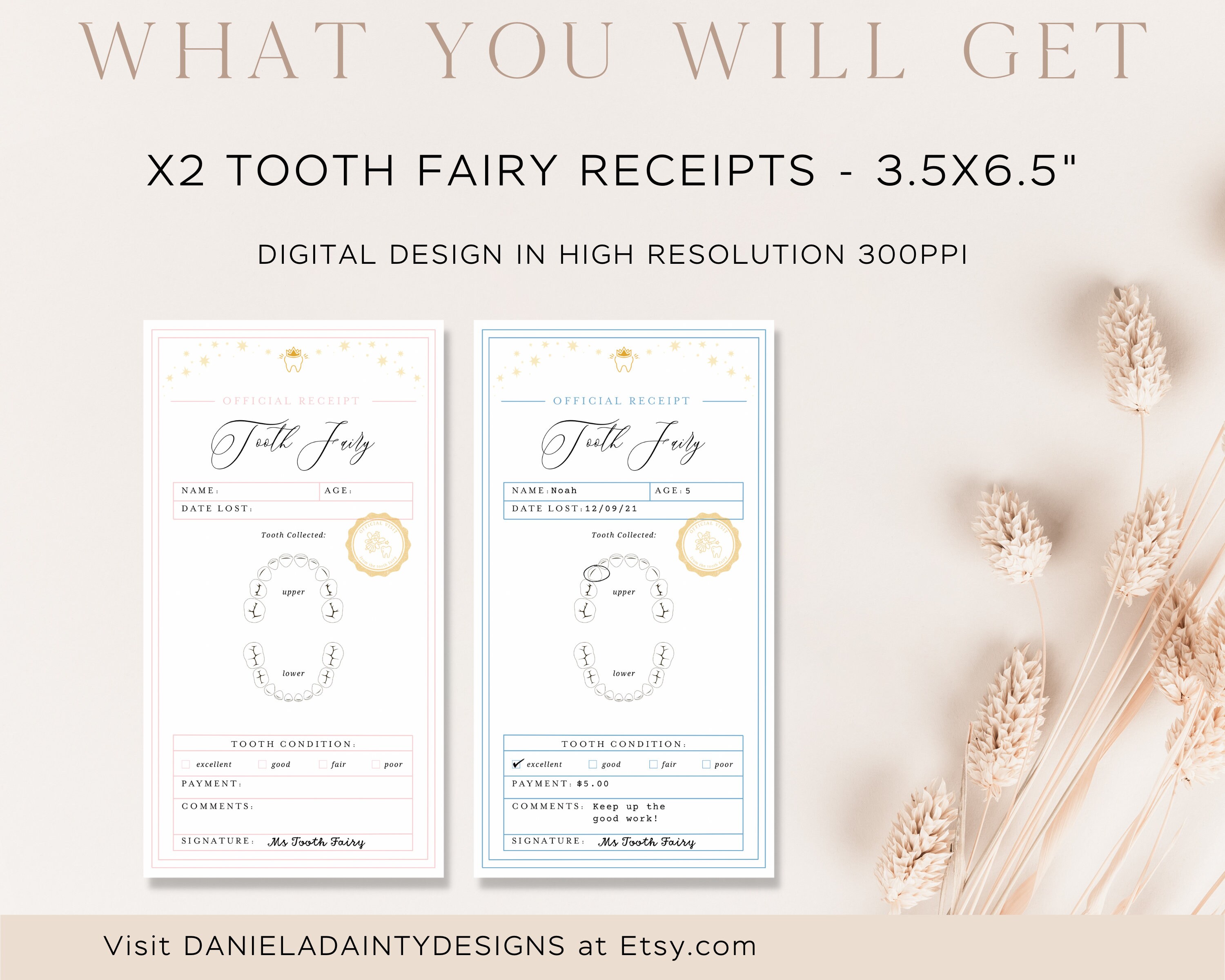 Tooth Fairy Receipt Printable Certificate Tooth Fairy Note - Etsy