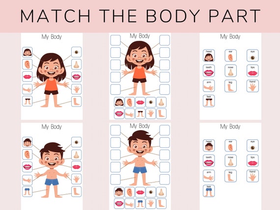 Match the Body Part Worksheet Preschool Activity Toddler | Etsy