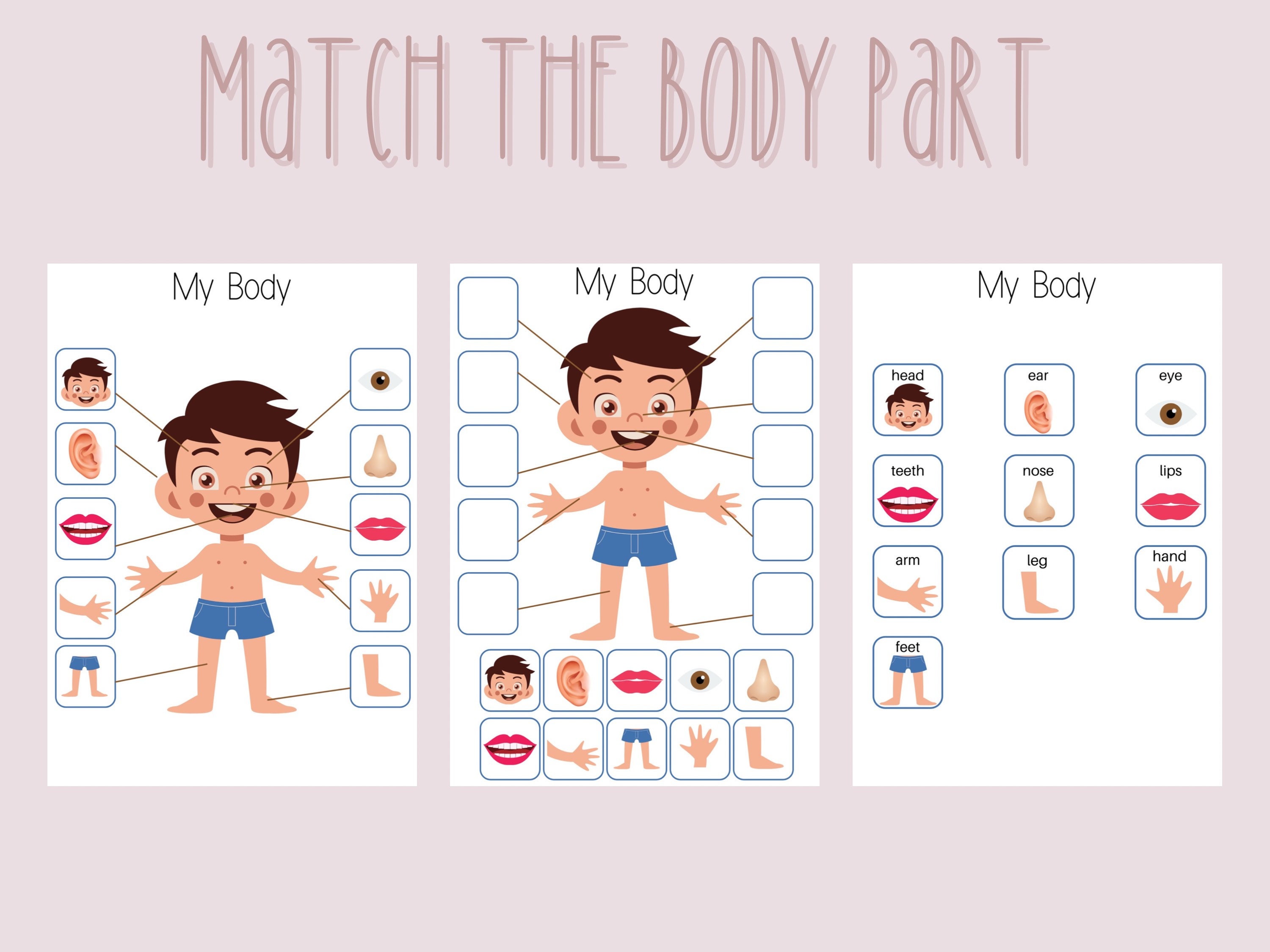 Match the Body Part Worksheet Preschool Activity Toddler | Etsy