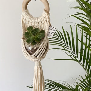 Macrame Mini Plant Hanger - Etsy