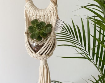 Macrame Mini Plant Hanger - Etsy
