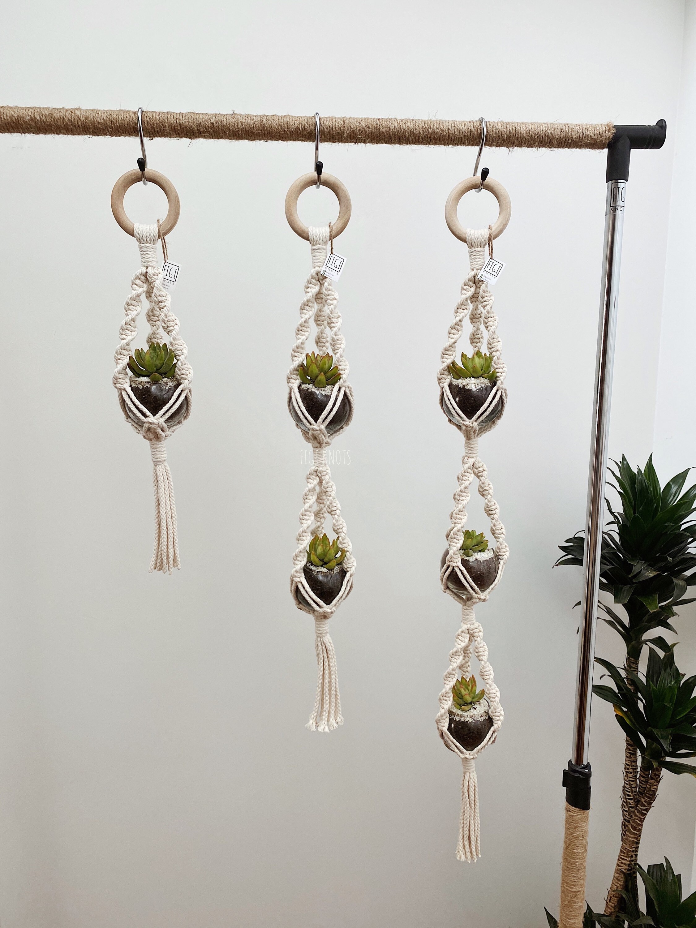 Macrame Mini Plant Hanger - Etsy