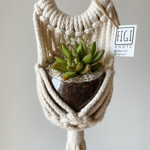 Macrame Mini Plant Hanger - Etsy