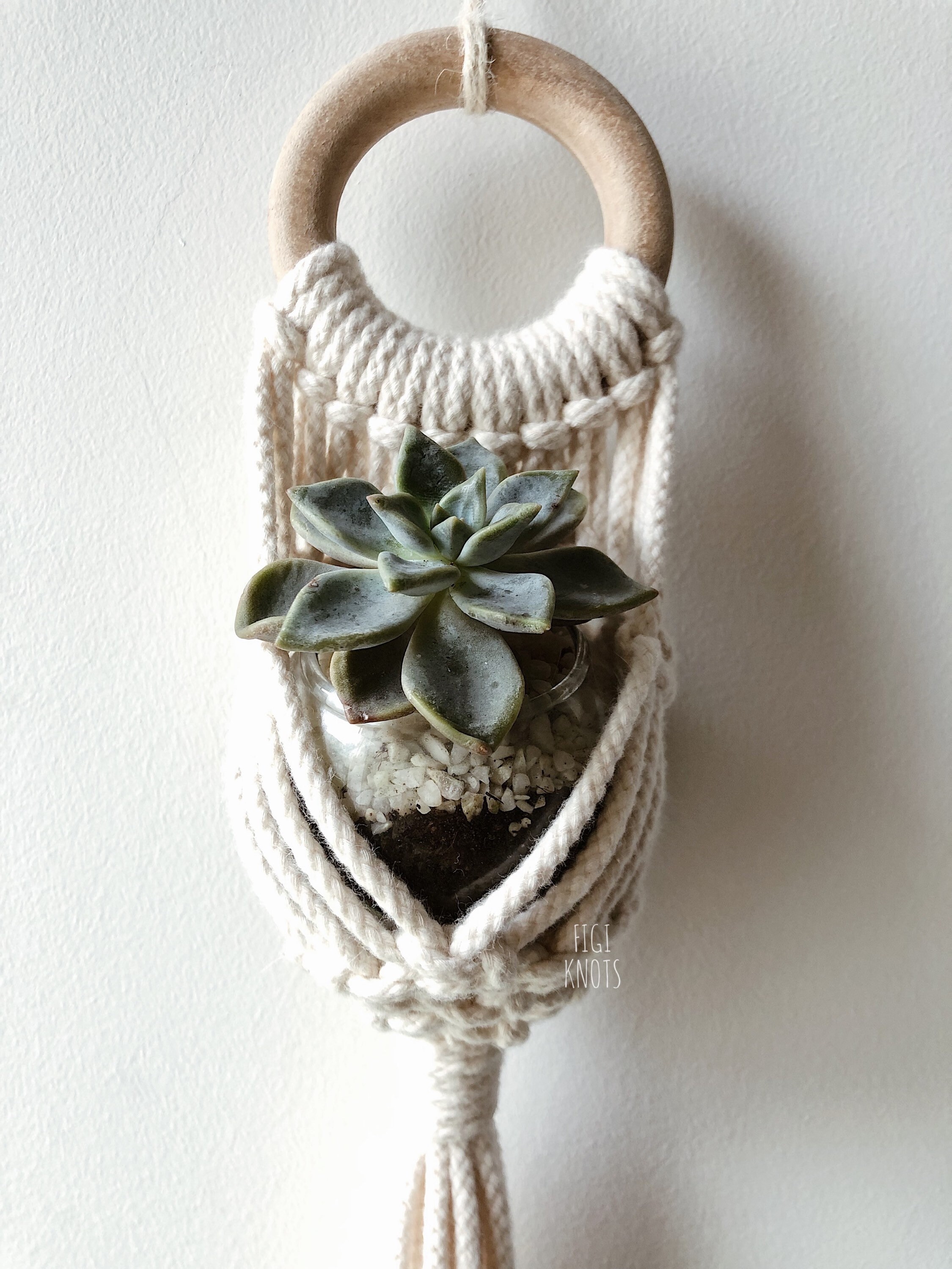 Macrame Mini Plant Hanger - Etsy