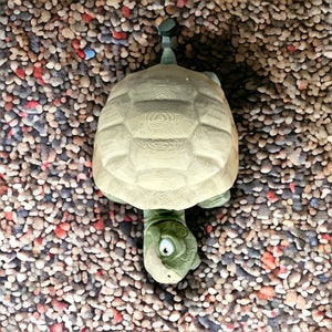 Articulated Lifelike Tortoise 3D Printed Fidget Toy Desk Decor Shelf ...