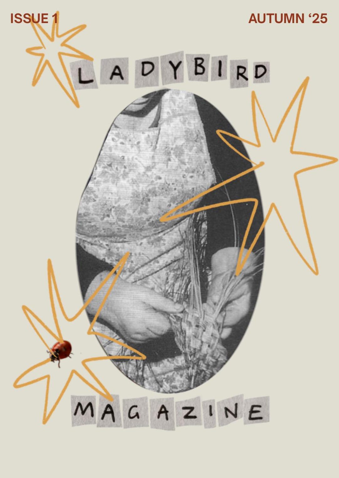 Ladybird Magazine Issue 1 (digital Copy) - Etsy