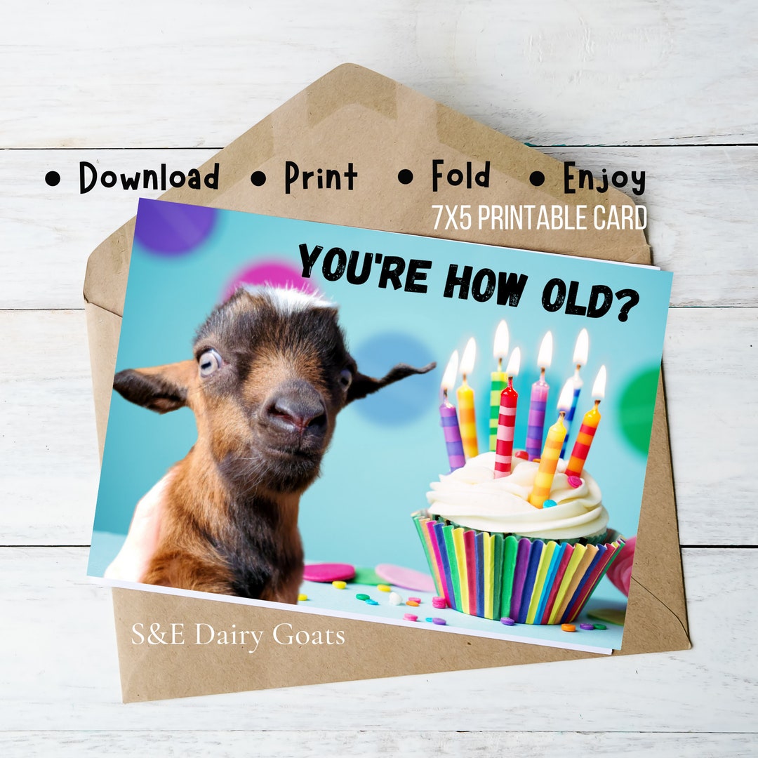 Funny Goat Birthday Card, Gifts With Goats, Printable Goat Birthday ...