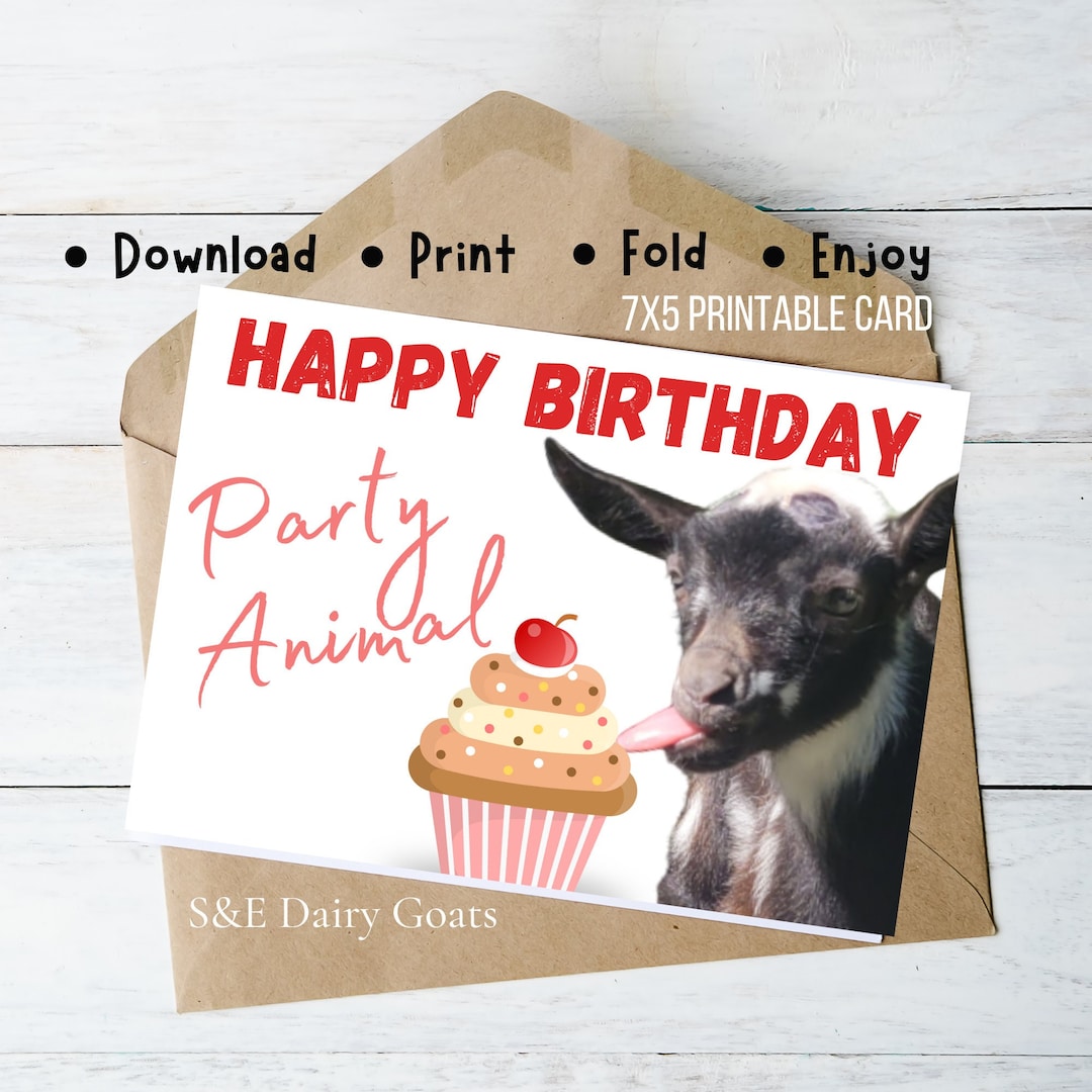 Funny Goat Birthday Card, Gifts With Goats, Happy Birthday Party Animal ...