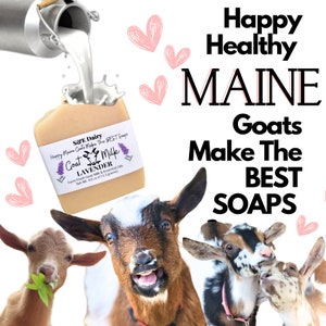 Gritty Goat Soap 5 Bar Bundle Homemade Organic Cold Process ...