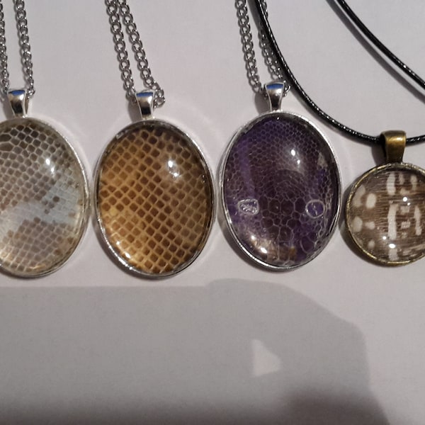 Snake Skin Jewelry - Etsy