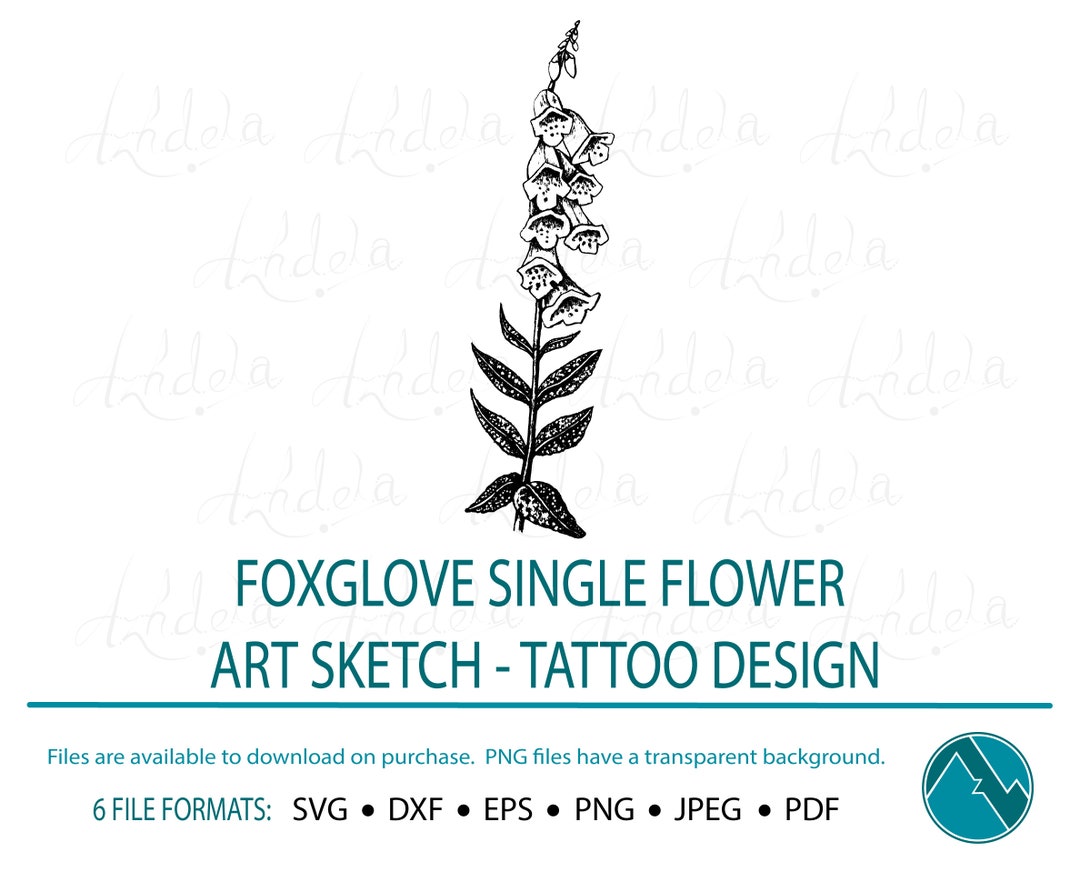 Foxglove Single Flower Stylised Art Sketch Tattoo Design, Hand Drawn ...