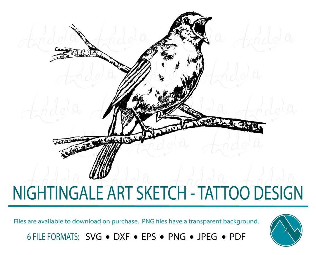 Singing Nightingale Bird Art Sketch Tattoo Design, Hand Drawn Bird ...