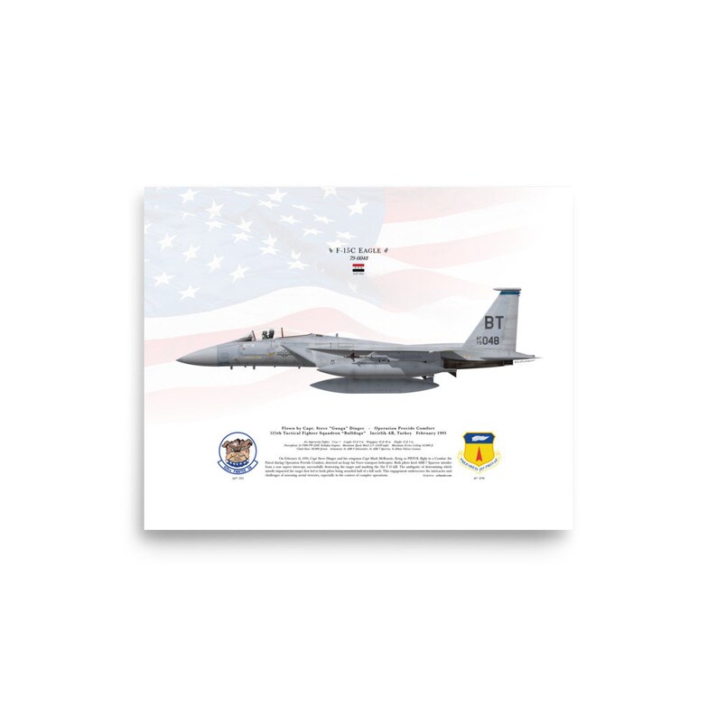 F-15C Eagle 79-0048 Gulf War 525TFS Side View Air Force USAF Fighter ...