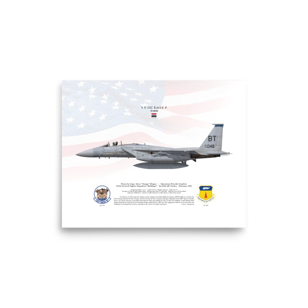 F-15C Eagle 79-0048 Gulf War 525TFS | Side View | Air Force USAF ...