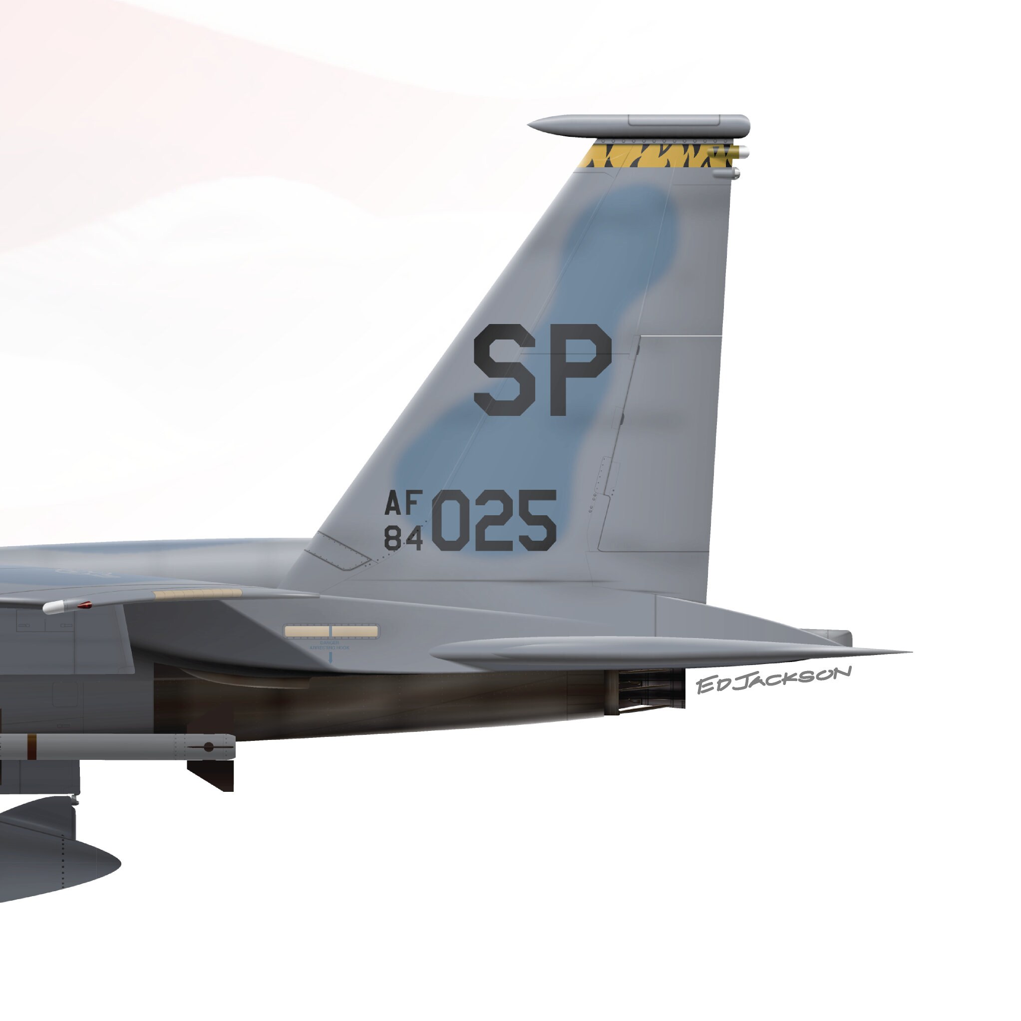F-15C Eagle 84-0025 53FS SP Bitburg | Side View | Air Force USAF ...