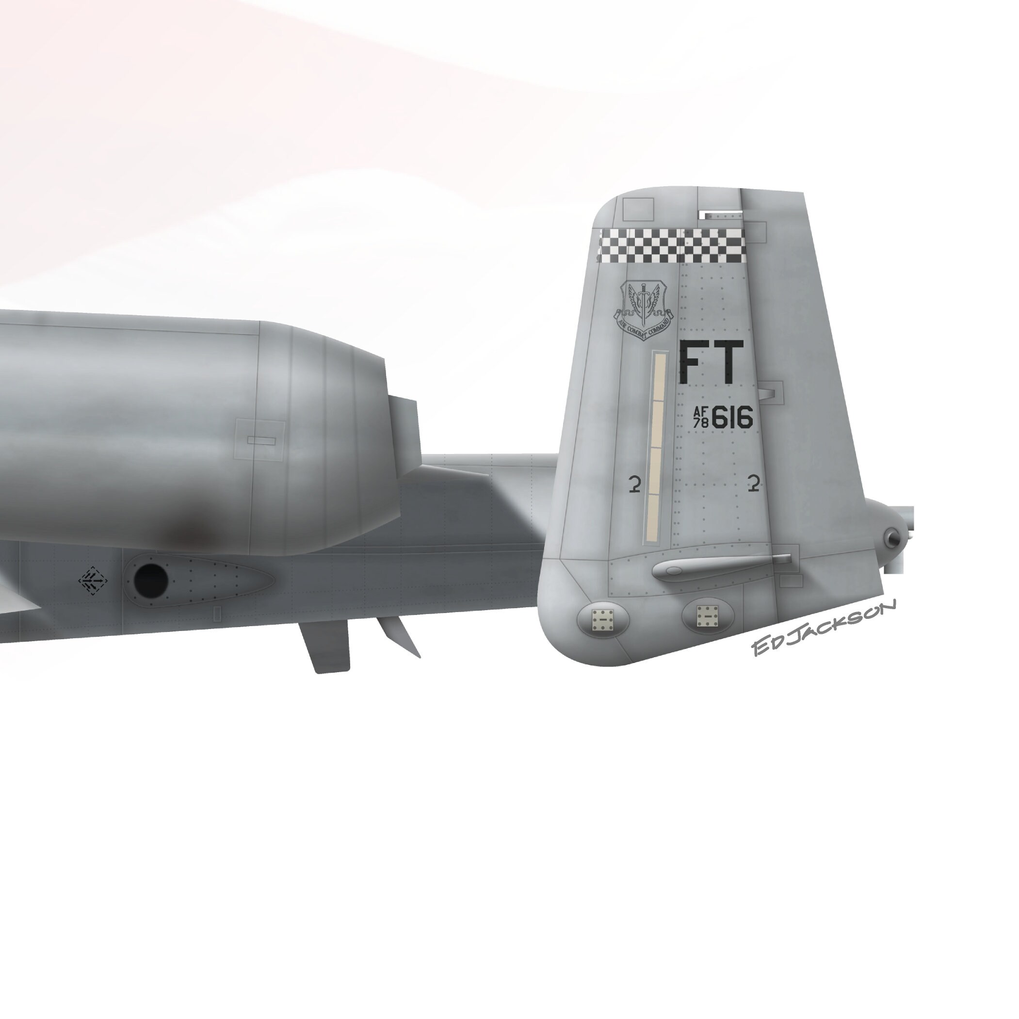 A-10C Thunderbolt II 78-0616 74FS FT Moody Side View Air Force USAF ...