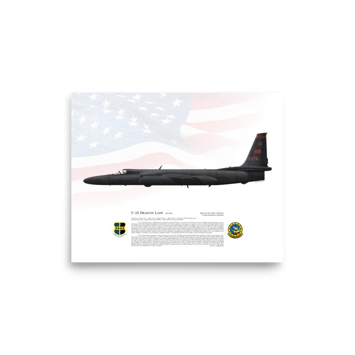 U-2S Dragon Lady 80-1076 1RS | Side View | Air Force USAF Fighter Jet ...