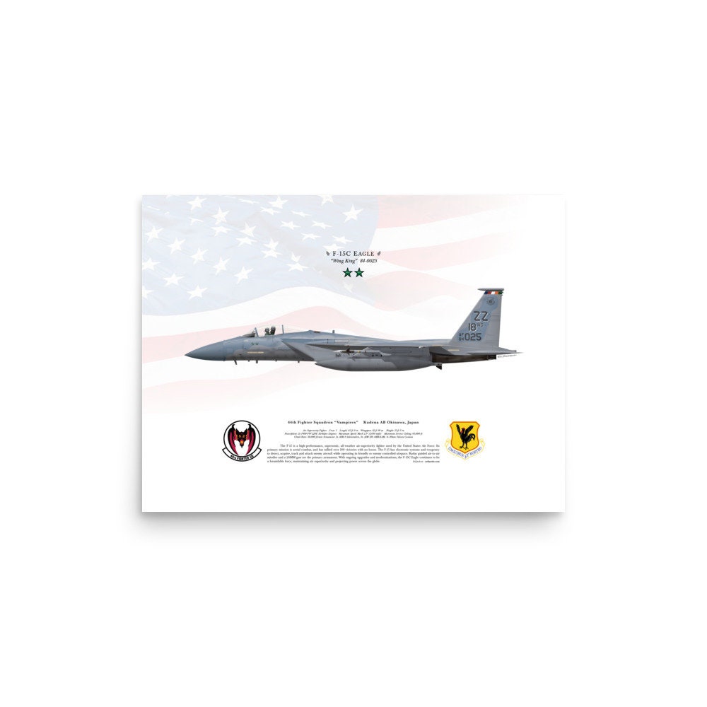 F-15C Eagle 84-0025 44FS ZZ Kadena | Side View | Air Force USAF Fighter ...